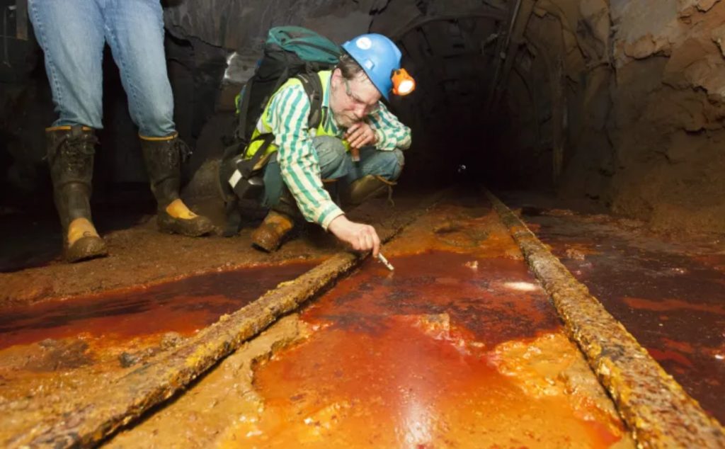 EEUU descubre una cueva con seres vivos capaces de convertir el CO2 en ...