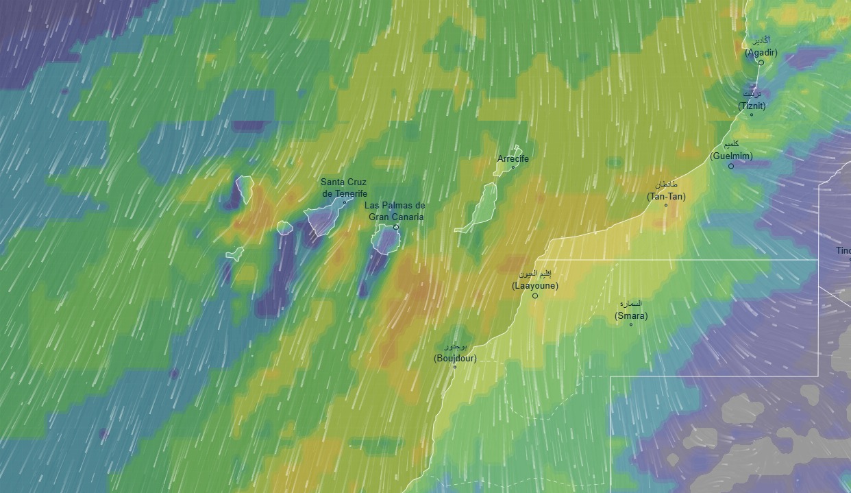 La AEMET avisa de alisio intenso y temperaturas en descenso en Canarias ...