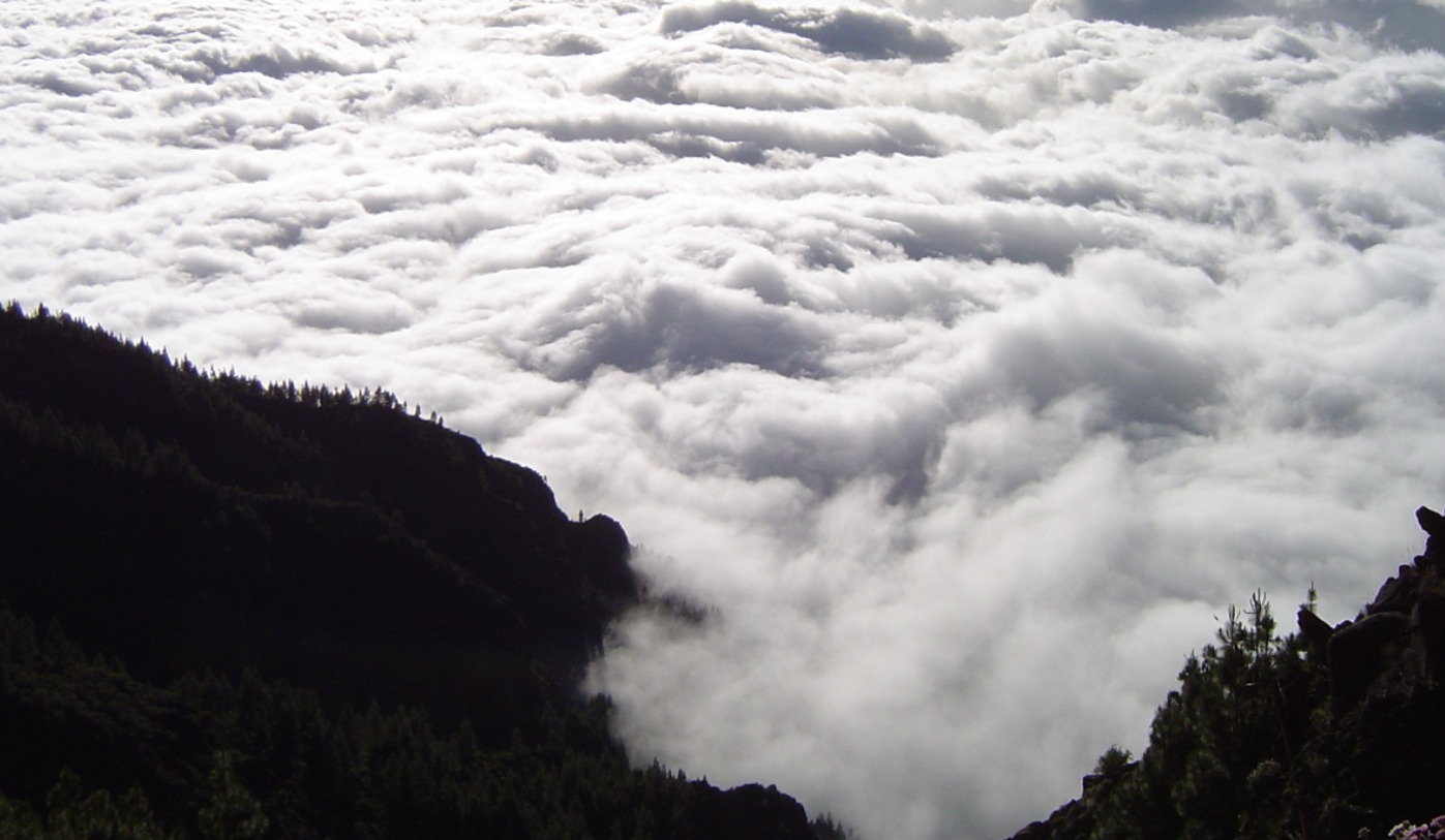La cascada de nubes que está diviendo la isla de Tenerife tiene una ...